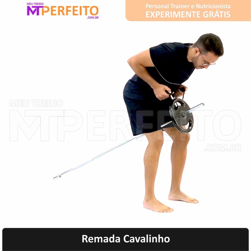 Remada Cavalinho - Meu Treino Perfeito