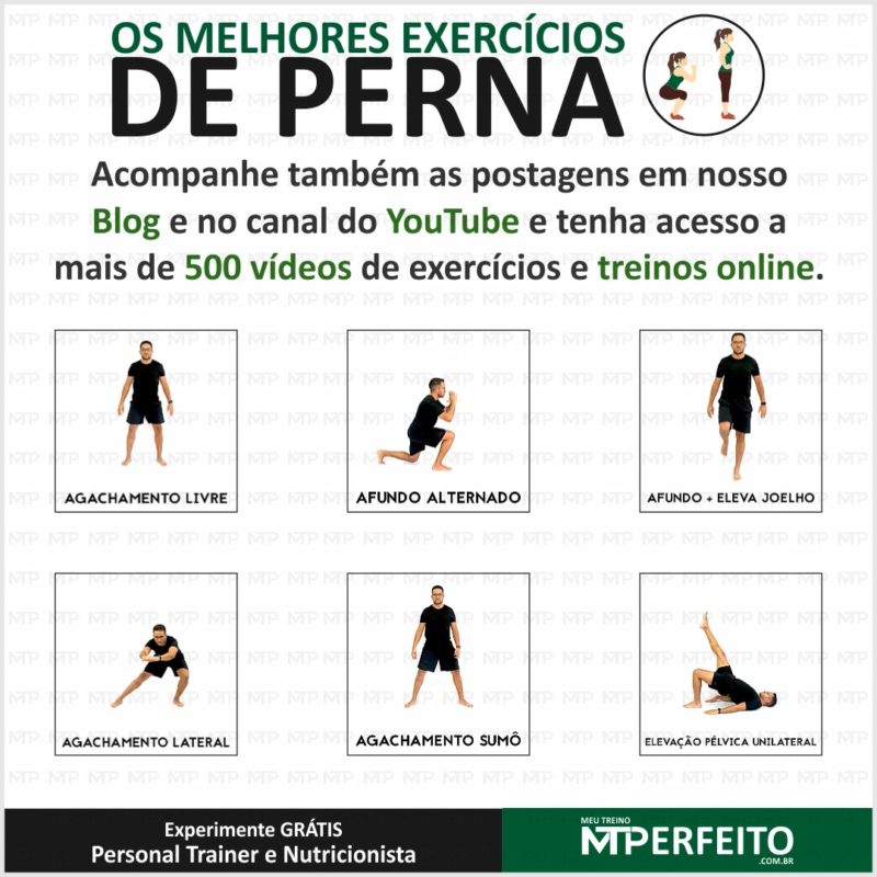 Os melhores exercícios de perna para fazer em casa - Meu Treino Perfeito