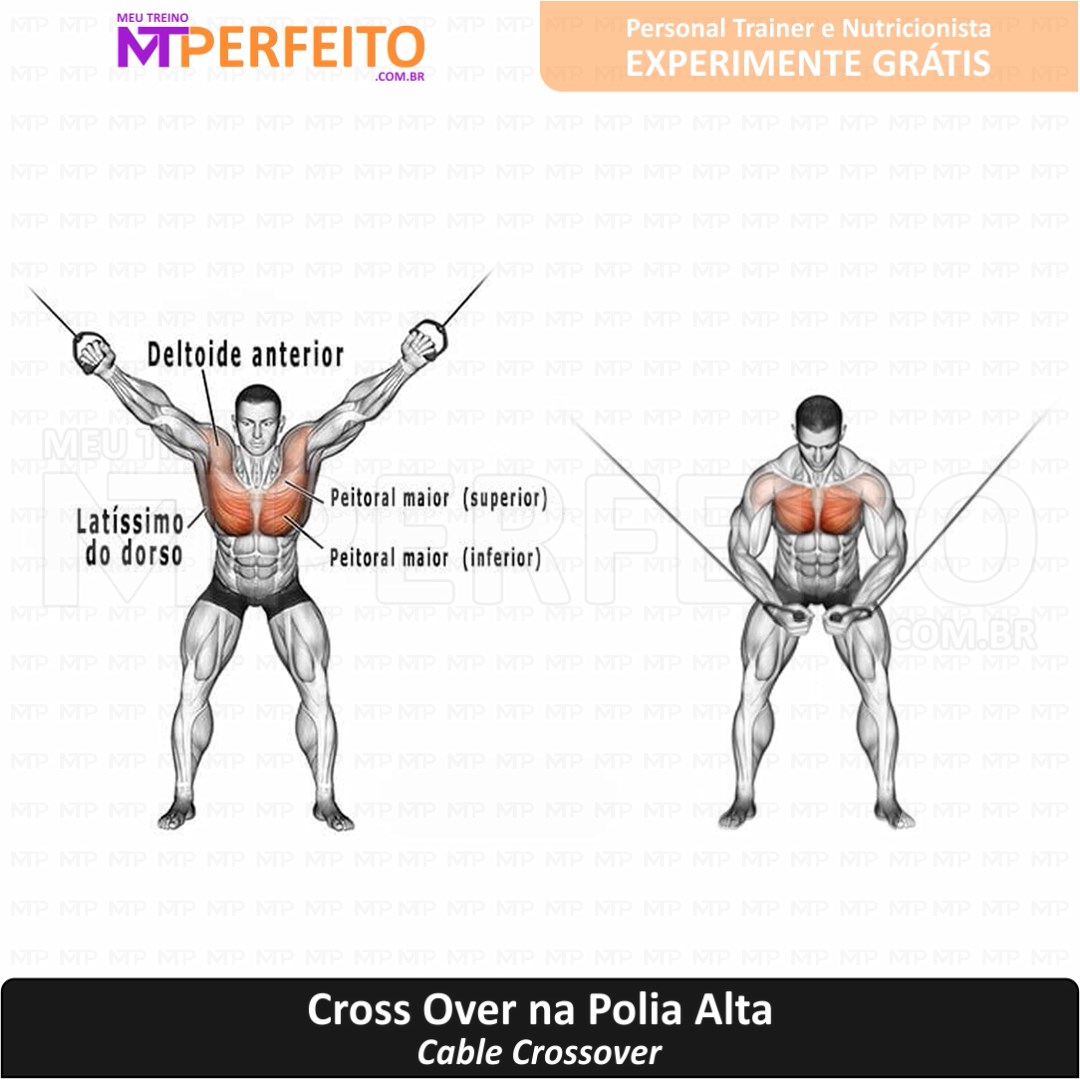 Peito - Cross Over na Polia Alta - Meu Treino Perfeito