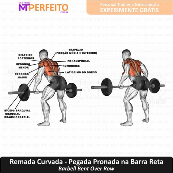 Remada Curvada - Pegada Pronada na Barra Reta - Meu Treino Perfeito