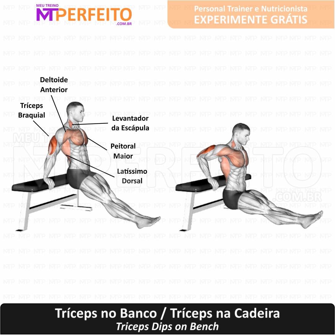 Tríceps na Caixa ou Tríceps no Banco - Meu Treino Perfeito