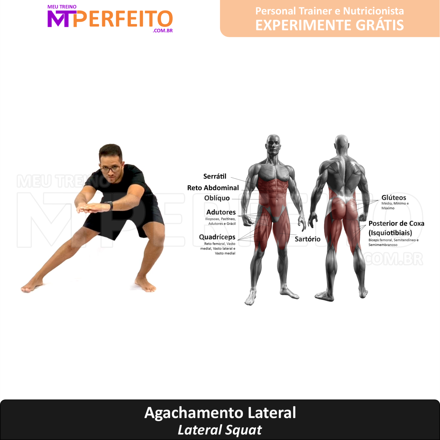 Agachamento Lateral - Meu Treino Perfeito